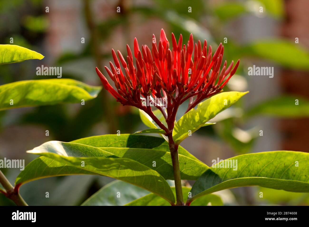 Background hd hi-res stock photography and images - Alamy