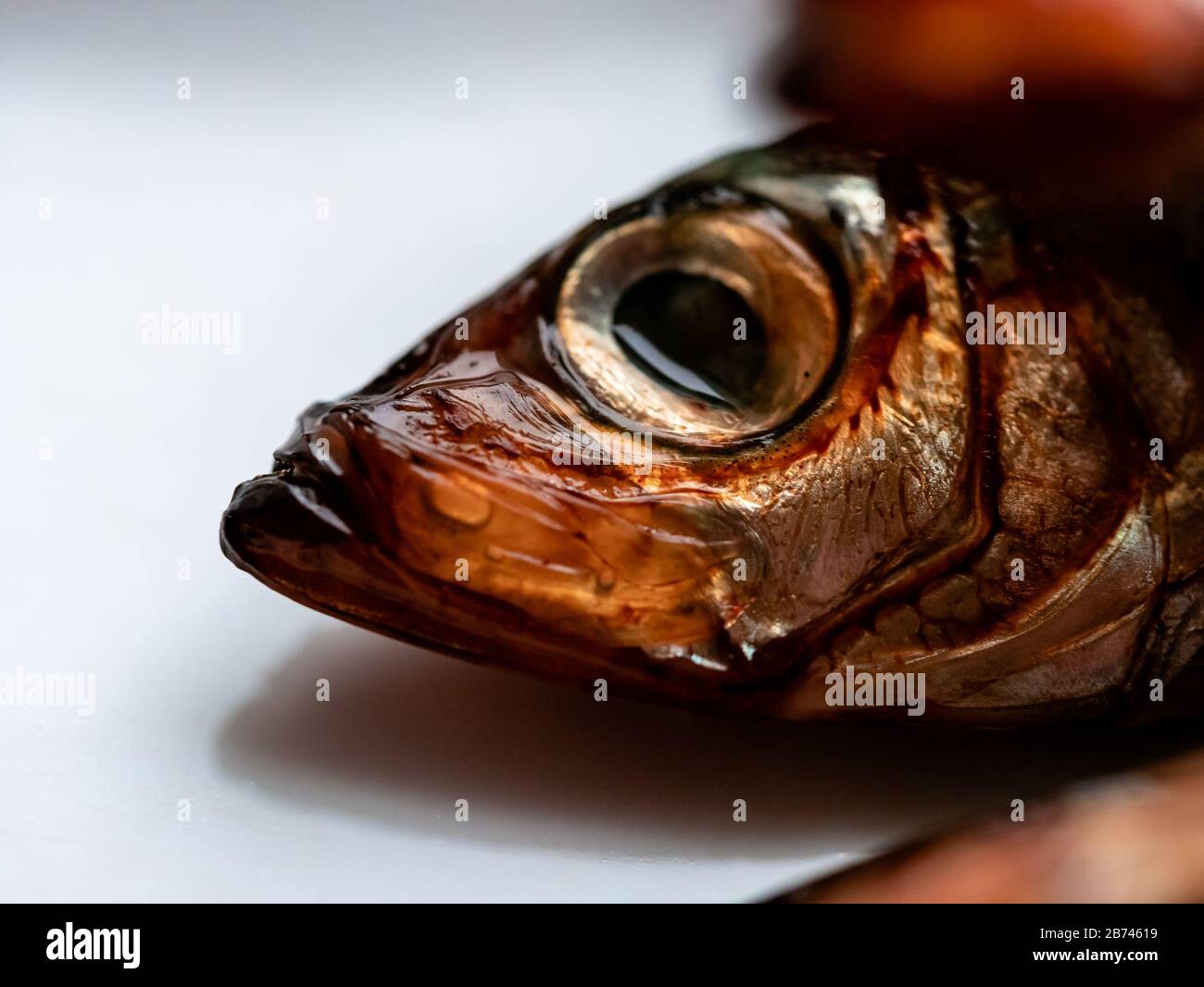 Cold smoked salaka ready to eat. Smoked fish close-up on a plate. Sea ...