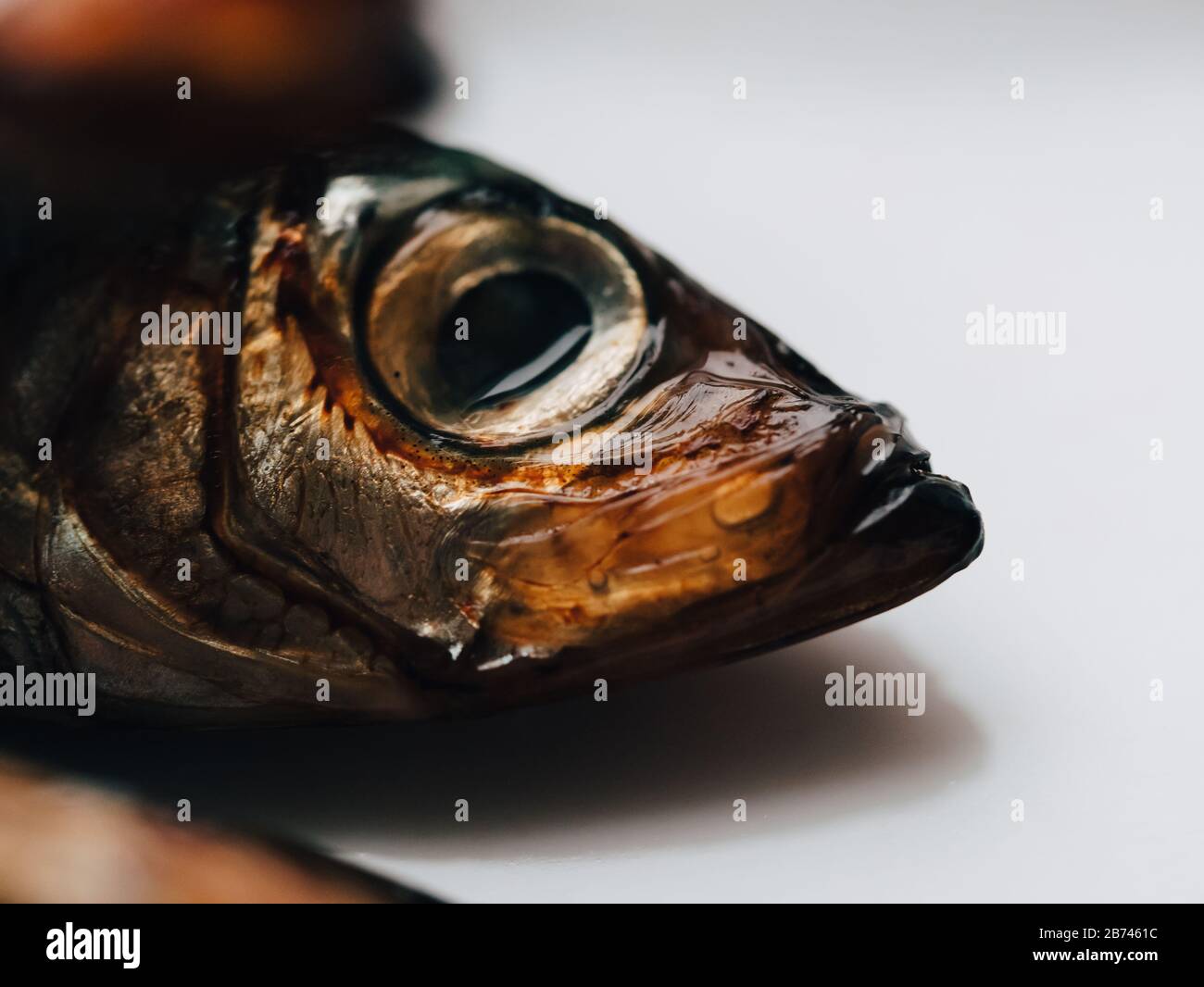 Cold smoked salaka ready to eat. Smoked fish close-up on a plate. Sea ...