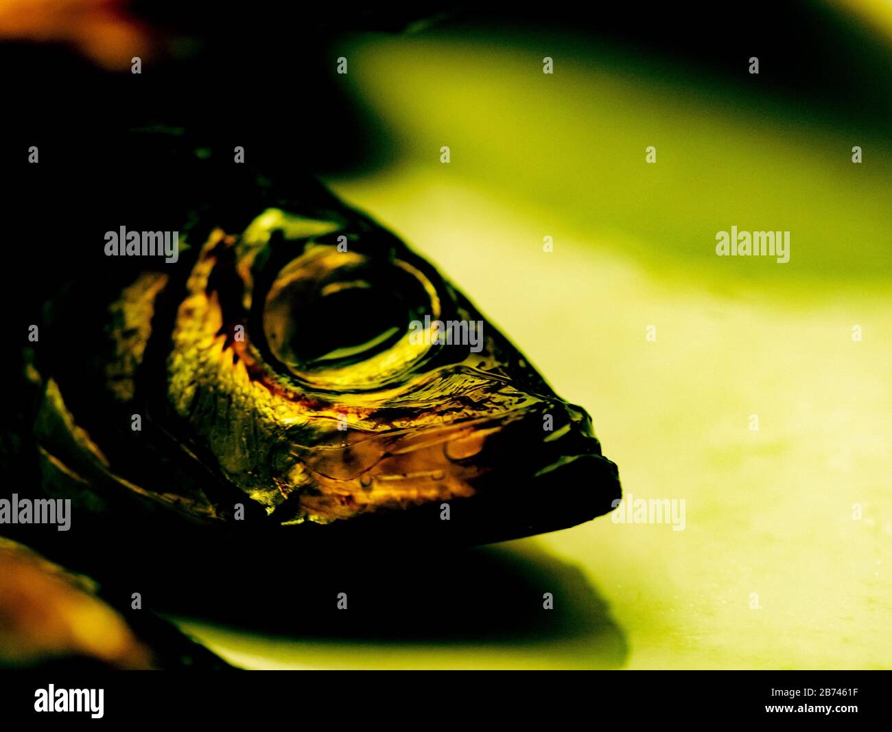 Cold smoked salaka ready to eat. Smoked fish close-up on a plate. Sea ...