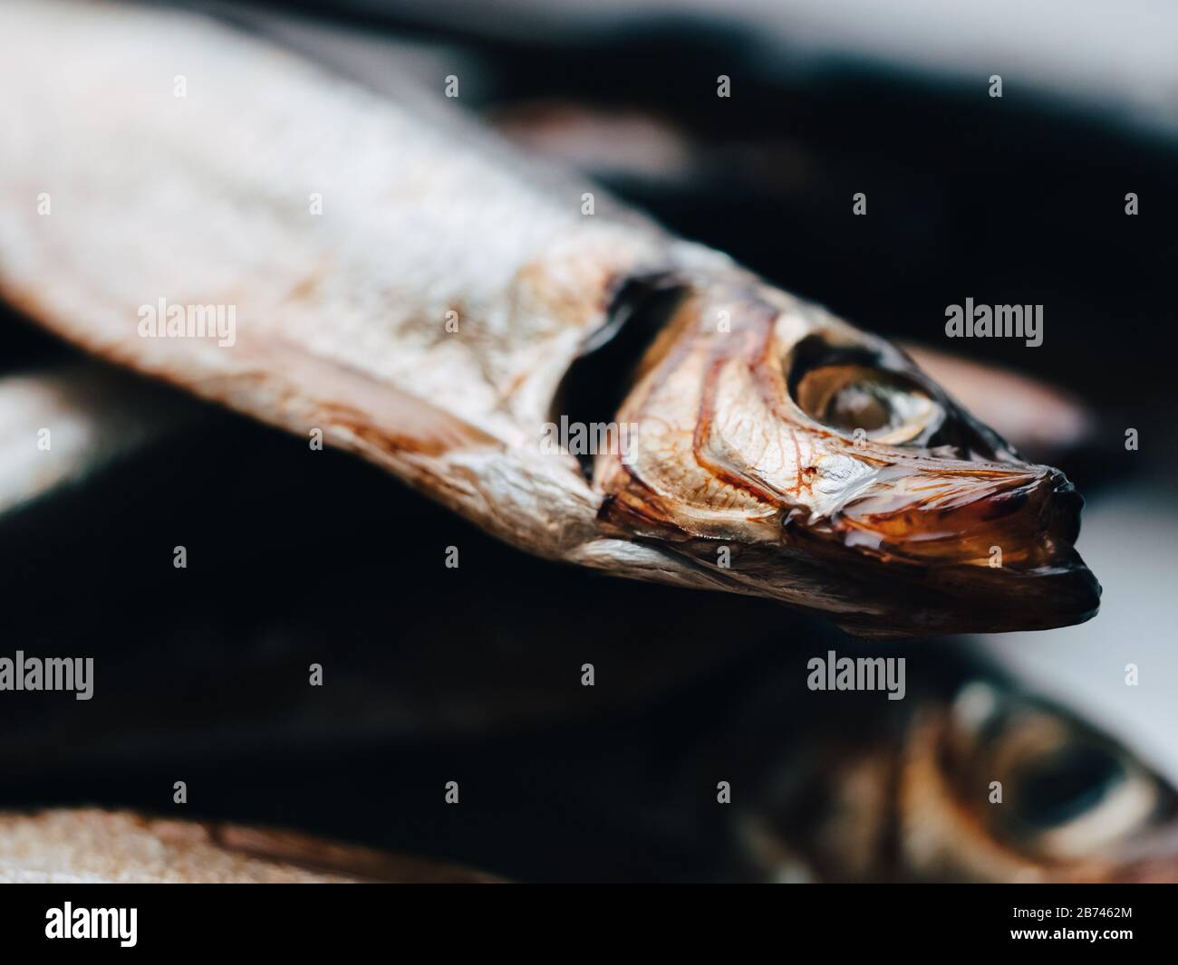 Cold smoked salaka ready to eat. Smoked fish close-up on a plate. Sea ...