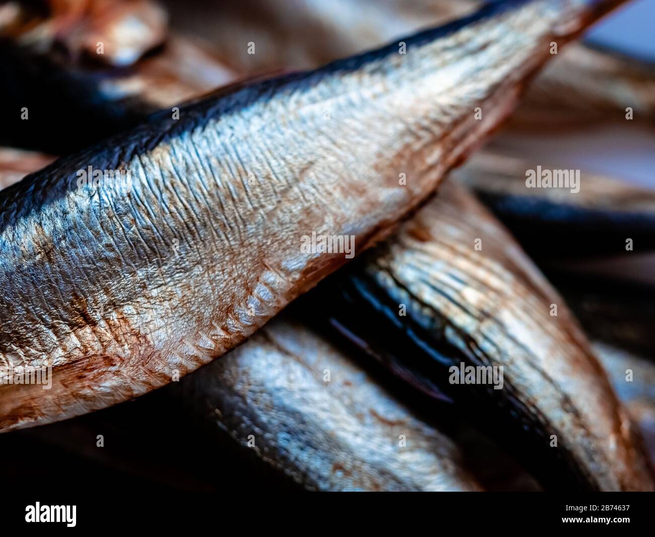 Cold smoked salaka ready to eat. Smoked fish close-up on a plate. Sea ...