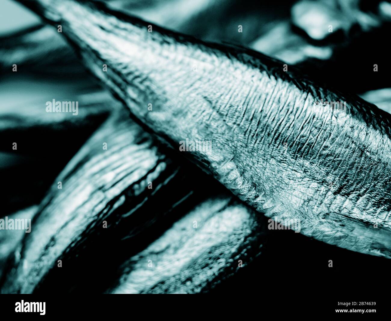 Cold smoked salaka ready to eat. Smoked fish close-up on a plate. Sea ...