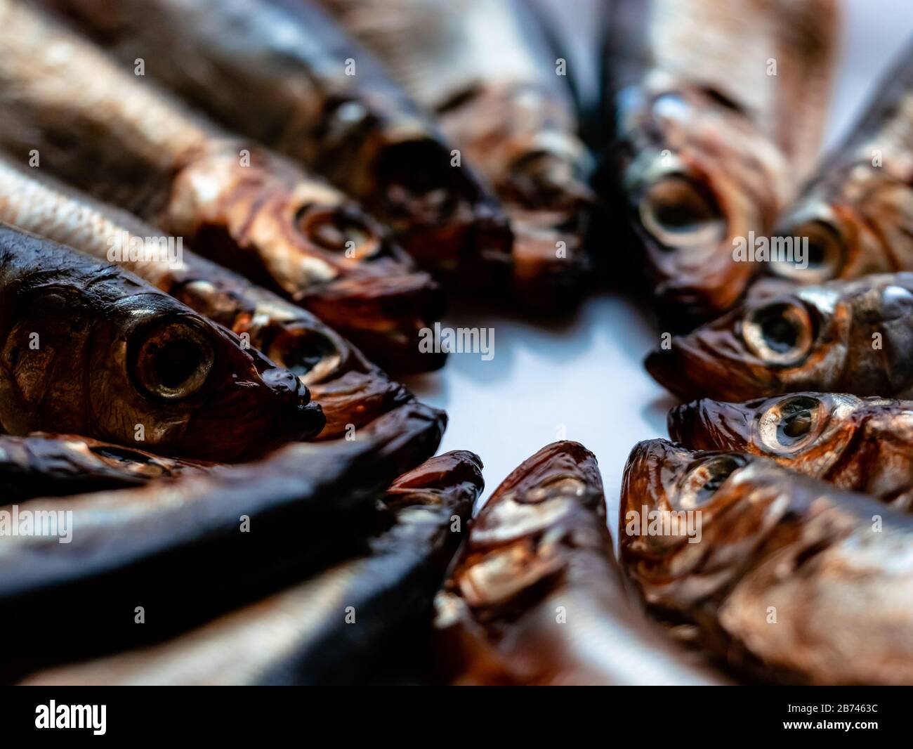 Cold smoked salaka ready to eat. Smoked fish close-up on a plate. Sea ...