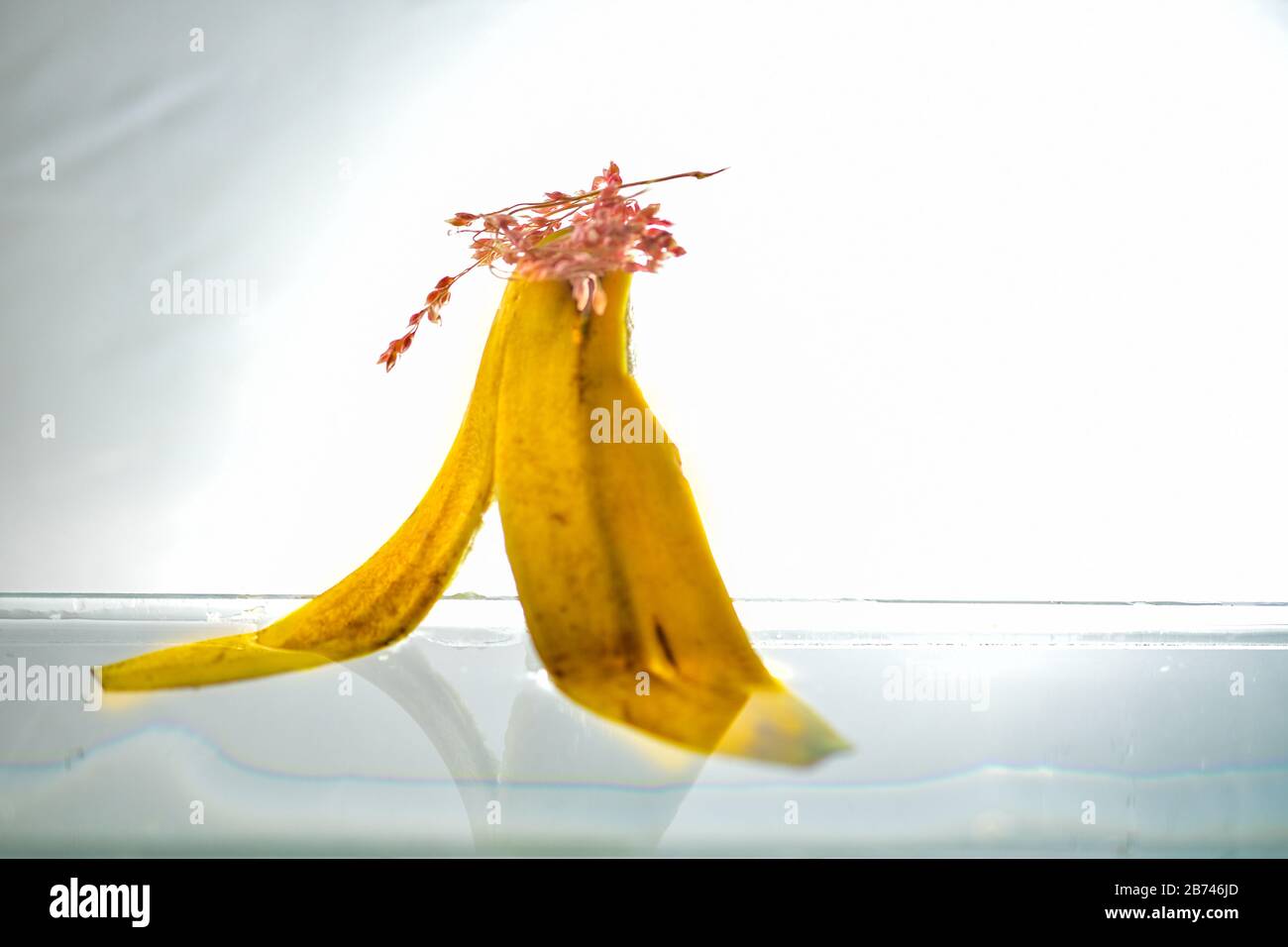 mermaid shaped banana on pool Stock Photo - Alamy
