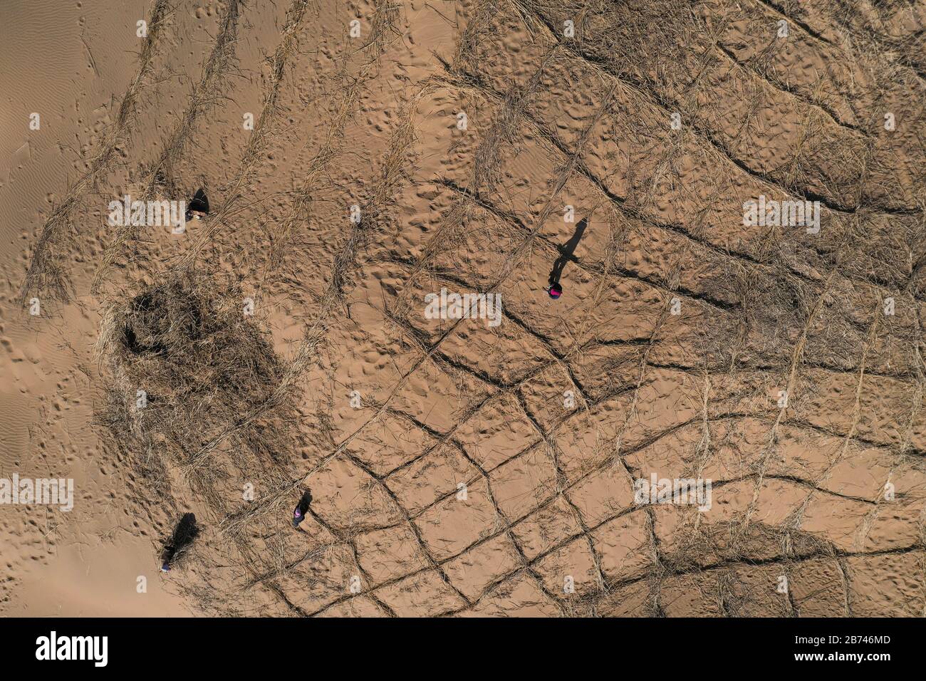 Hanggin Banner. 13th Mar, 2020. Aerial photo shows workers paving sand ...
