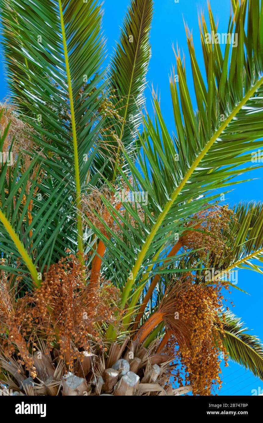Yialos Ios Island Greek Islands Greece Stock Photo - Alamy