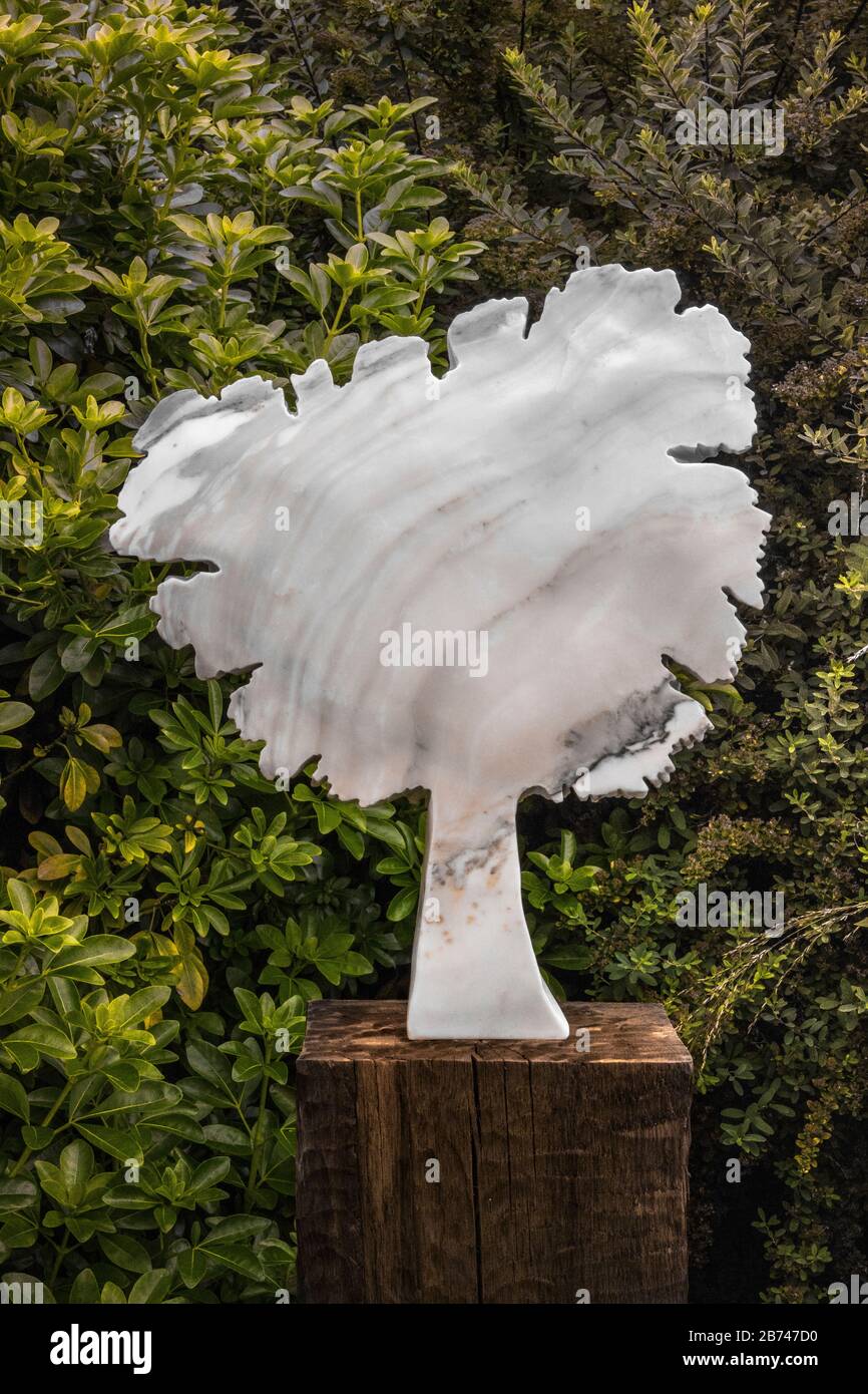 marks hall marble tree sculpture colchester essex england uk Stock ...