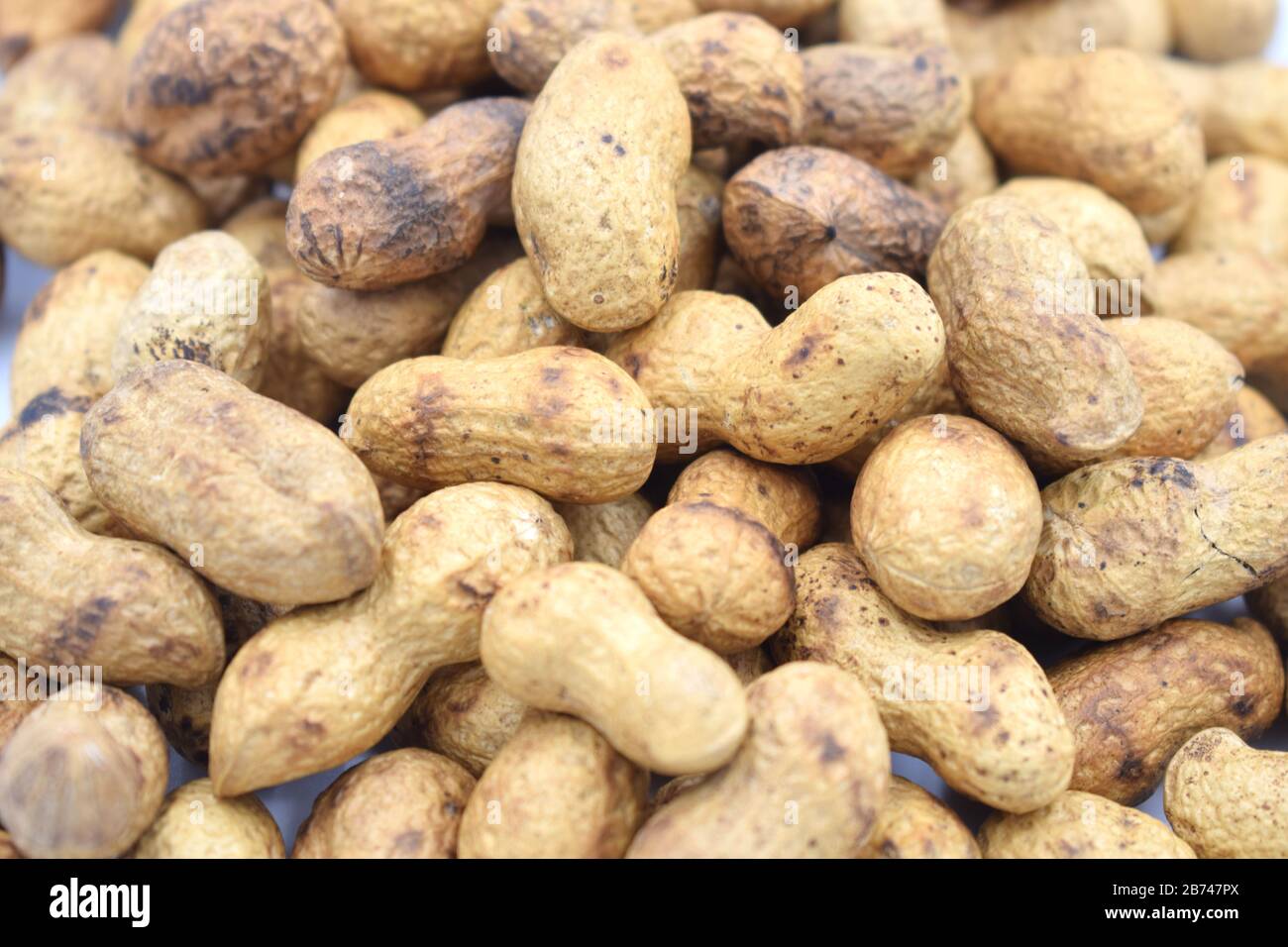 Roasted peanuts seeds, organic groundnut Stock Photo - Alamy