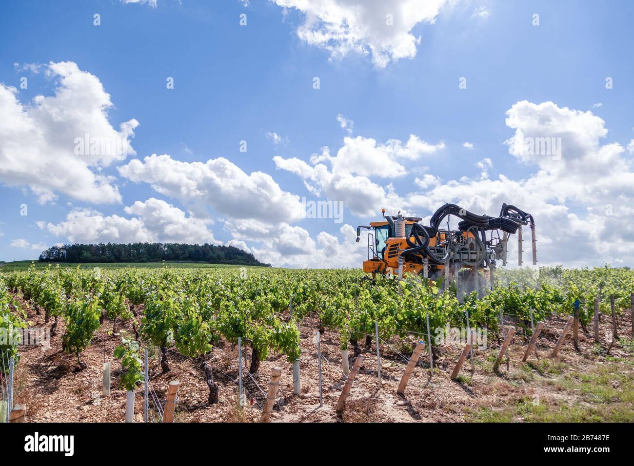 Vineyard spraying biodynamic hi-res stock photography and images - Alamy