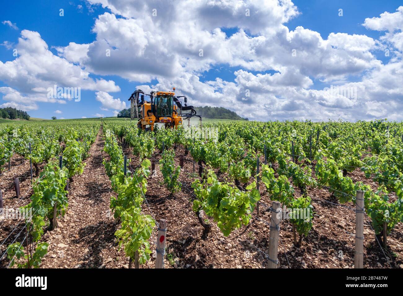 Vineyard spraying biodynamic france hi-res stock photography and images ...