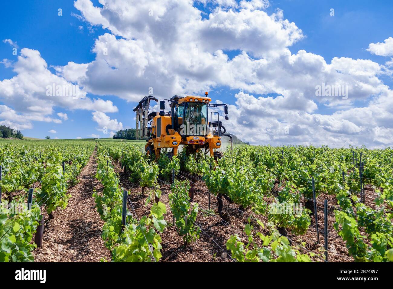 Vineyard spraying biodynamic france hi-res stock photography and images ...