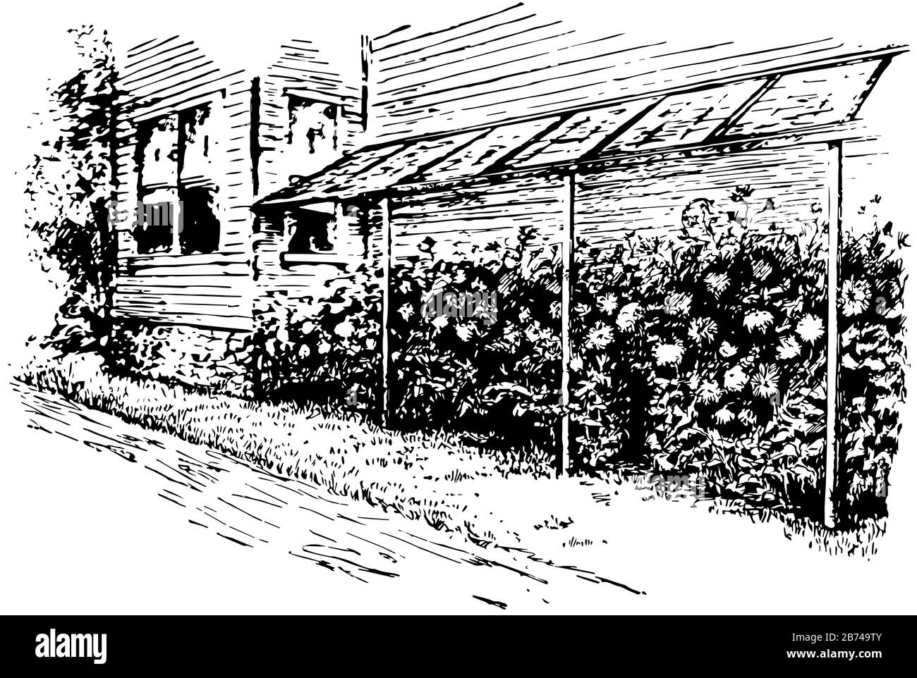 This illustration represents Flower Protection which is a protection ...