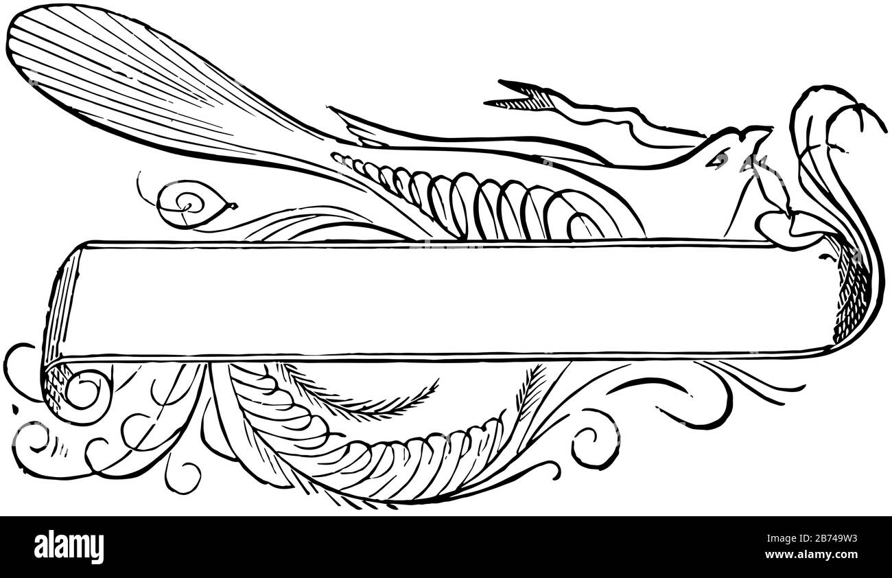Calligraphic banner with bird, its is heavy banner, vintage line ...