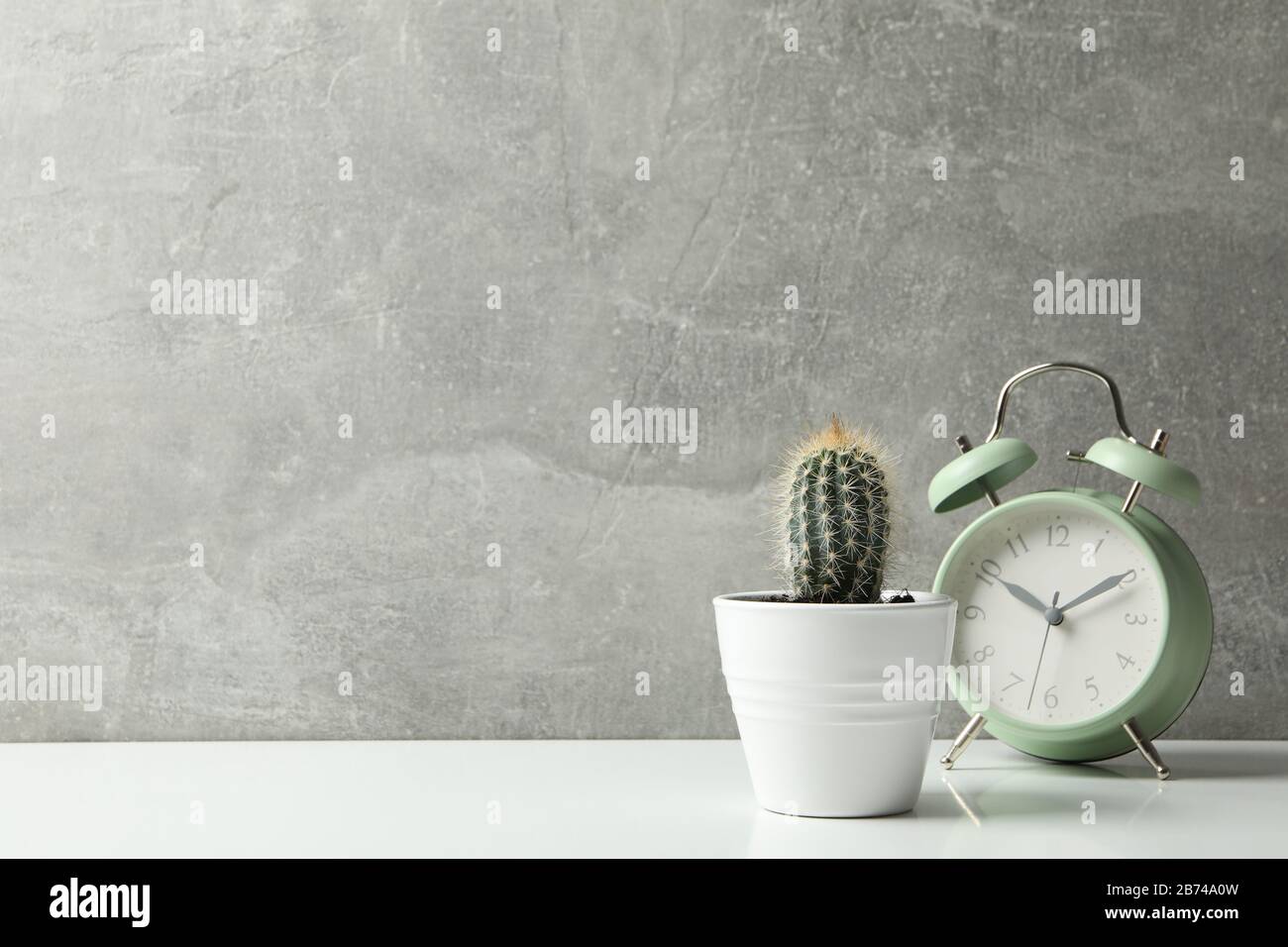 Cactus and alarm clock against grey background, space for text Stock ...