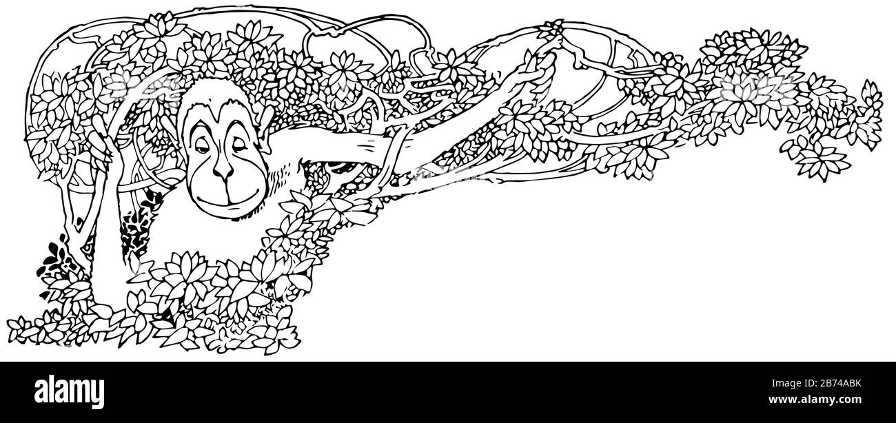 Monkey In A Tree Drawing