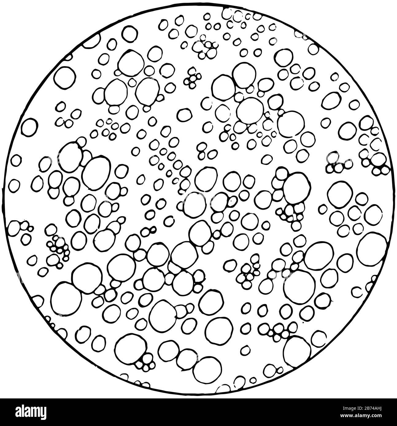 Fat balls Stock Vector Images - Alamy