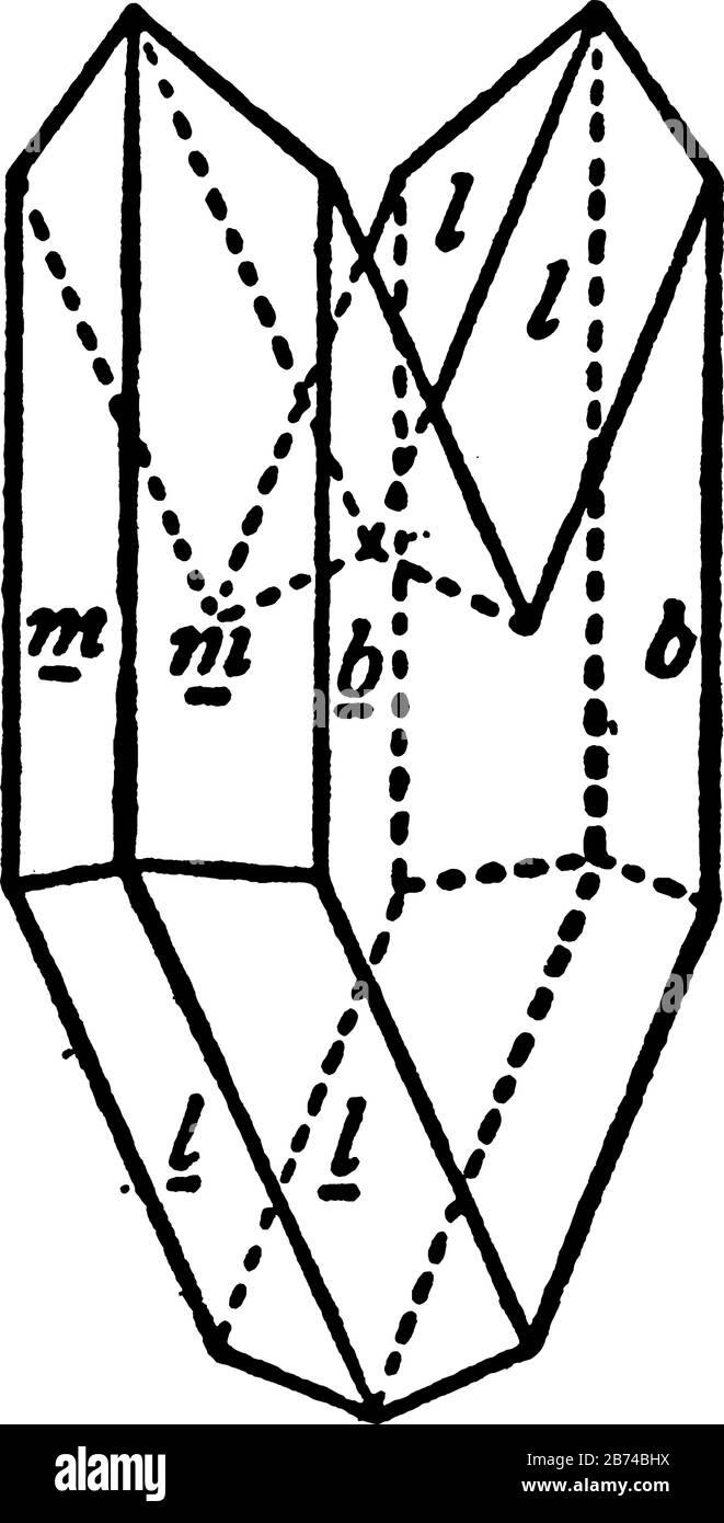This diagram represents Twinned Crystal of Gypsum, vintage line drawing ...