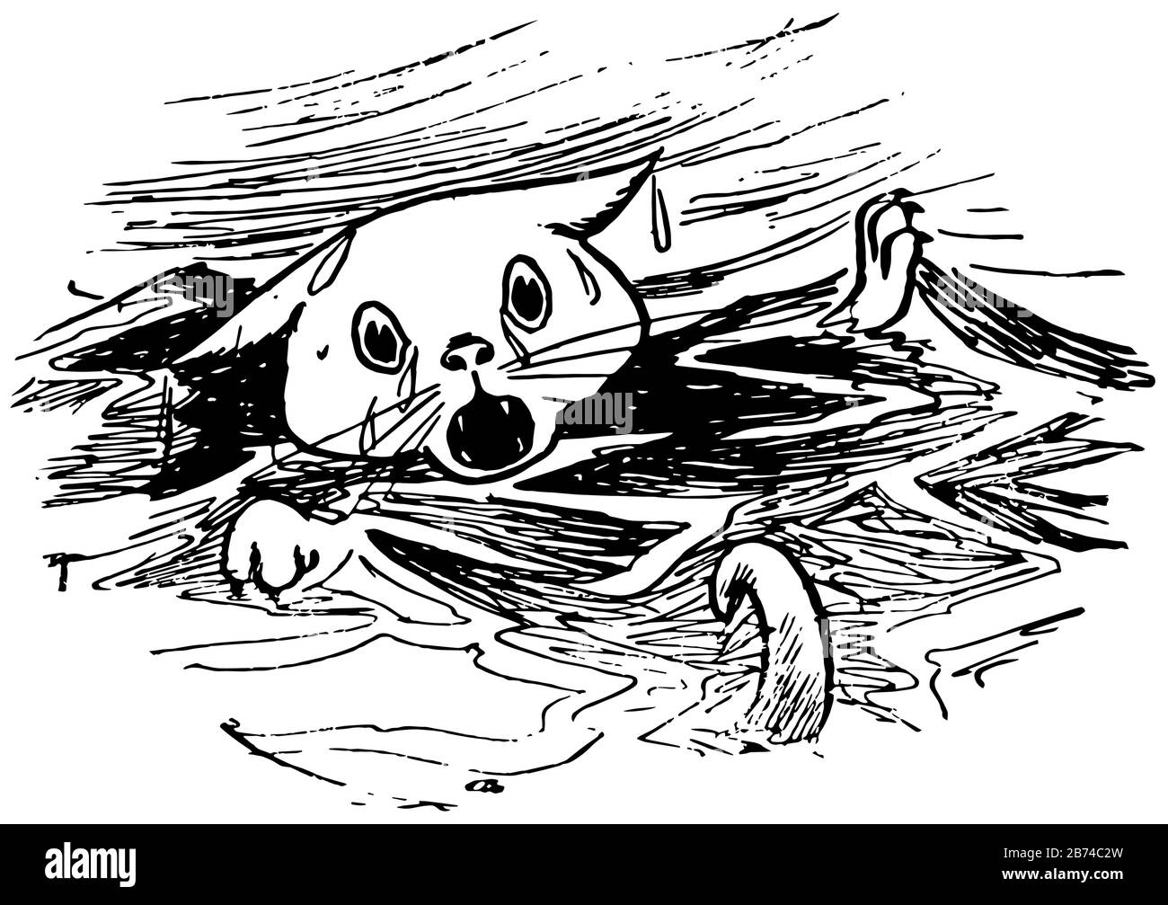 A cat in the water, vintage line drawing or engraving illustration ...