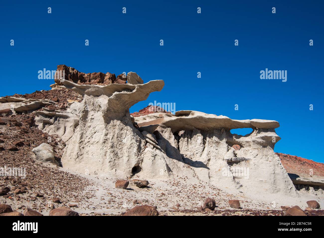 Low angle landscape of grey stone formations at Bisti Badlands in New ...
