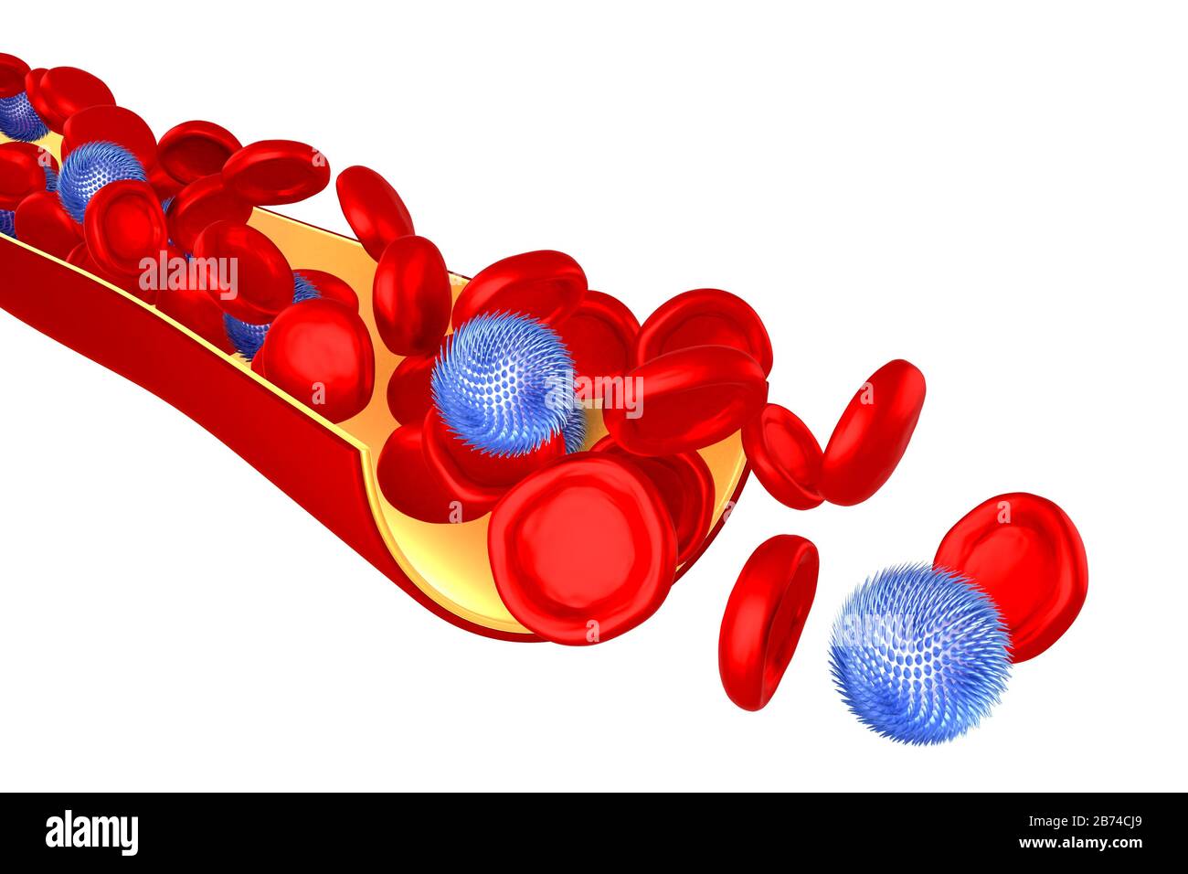 Infected blood Cut Out Stock Images & Pictures - Alamy