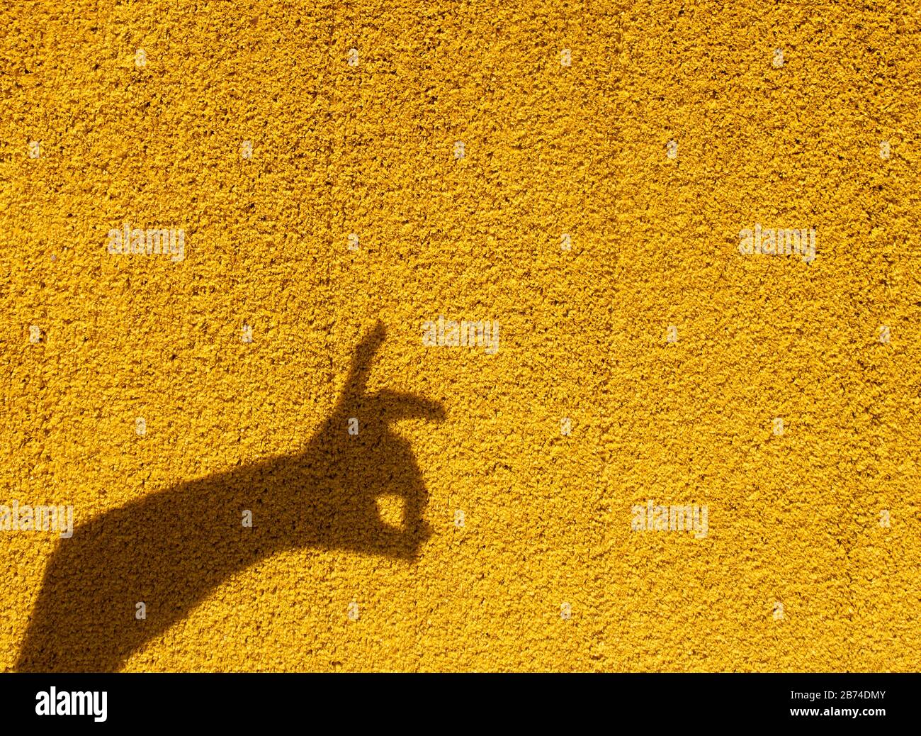 Hand rabbit silhouette white wall hi-res stock photography and images ...