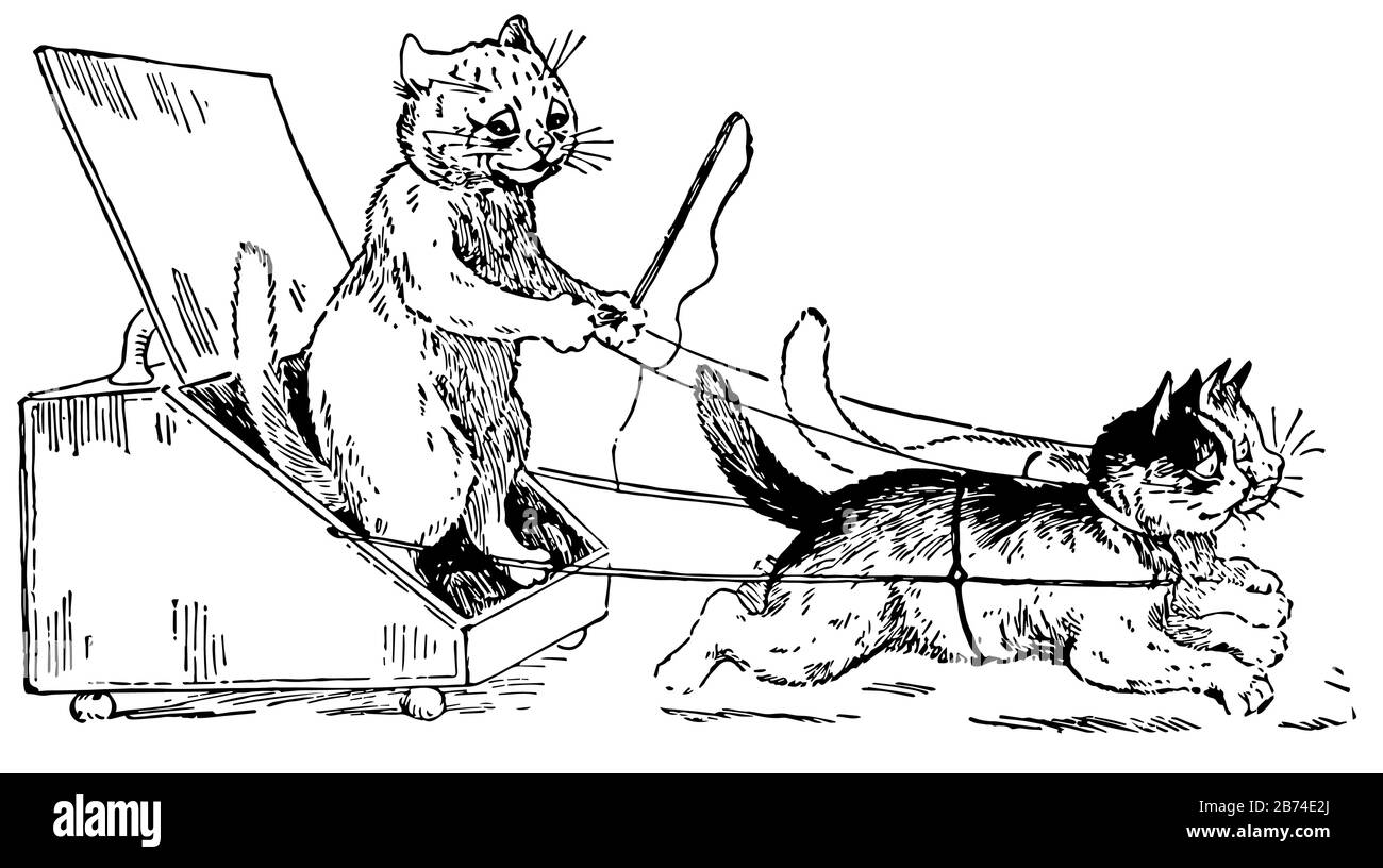 Two cats pulling box with rope and one cat sitting inside box and ...