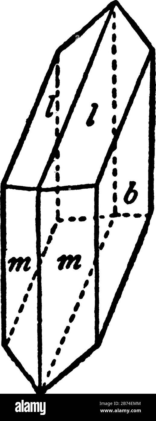 This diagram represents Simple Crystal of Gypsum, vintage line drawing ...