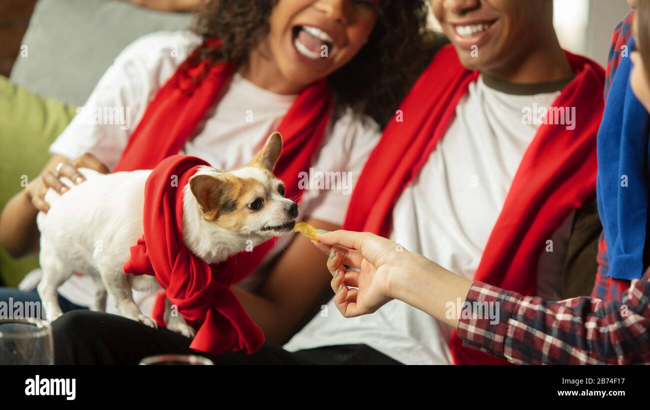 Cheerleader football smiling hi-res stock photography and images - Alamy