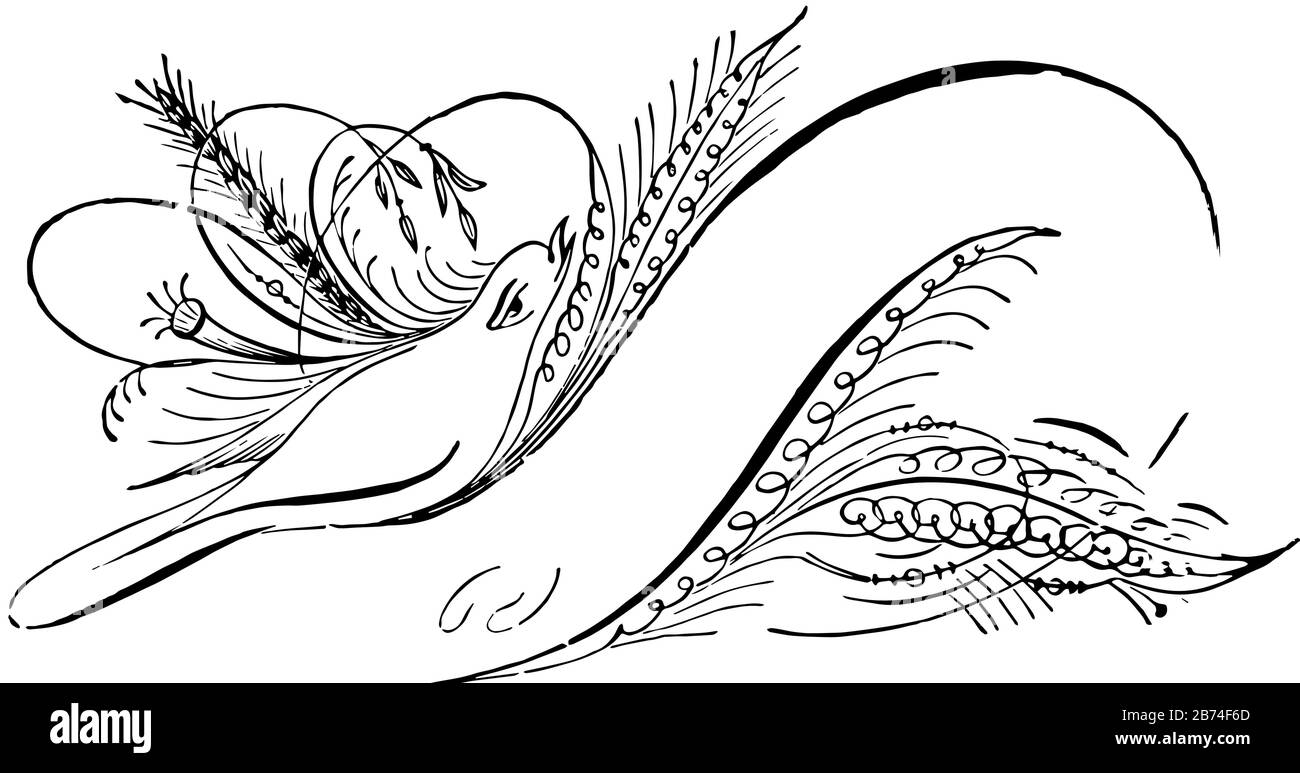 Calligraphic banner is an advertising image, it is a either a graphic ...