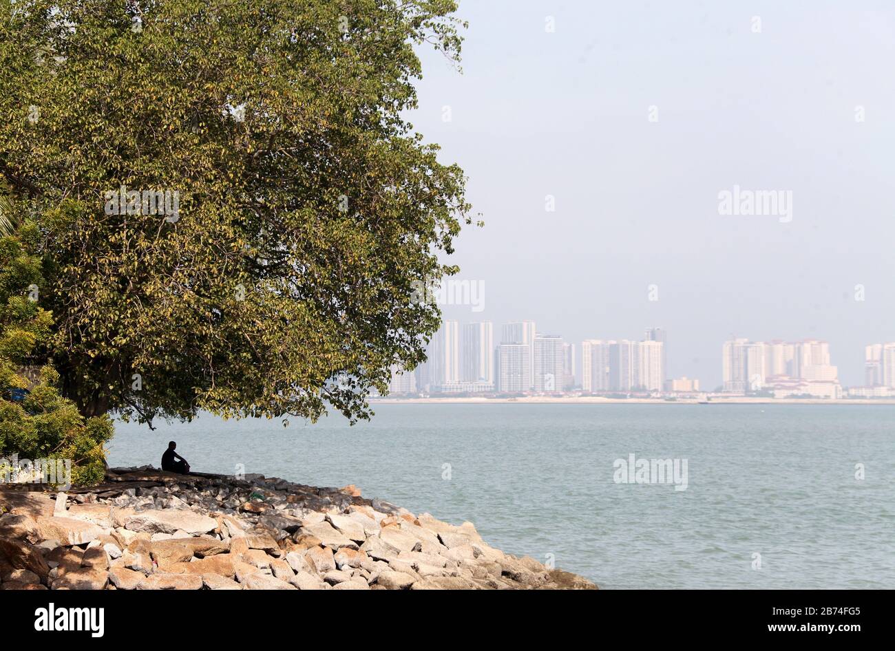 Man sitting alone under tree hi-res stock photography and images - Alamy