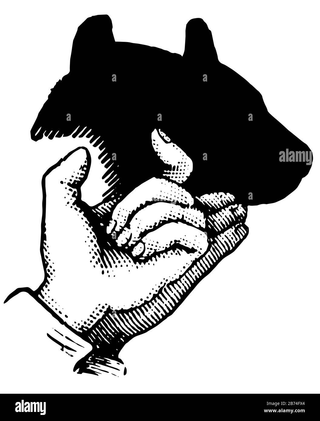 This picture represents Hand-shadow of Ox, vintage line drawing or ...