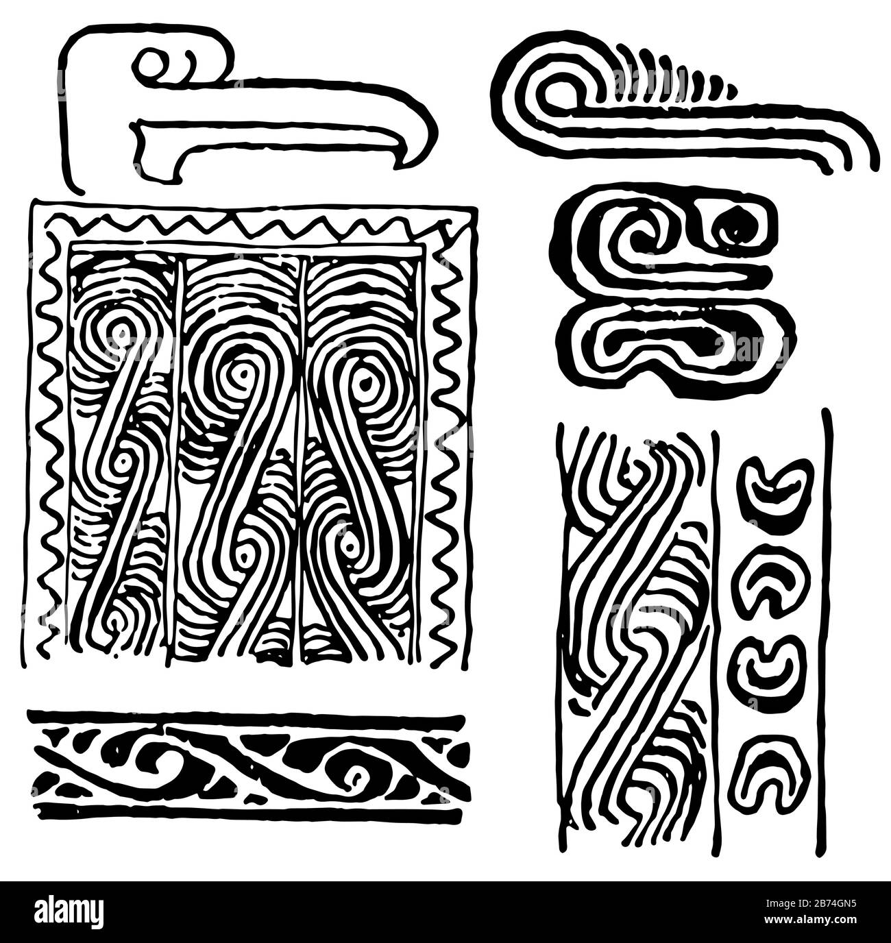 Papuan Frigatebird Forms have a Repeating Pattern, vintage line drawing ...