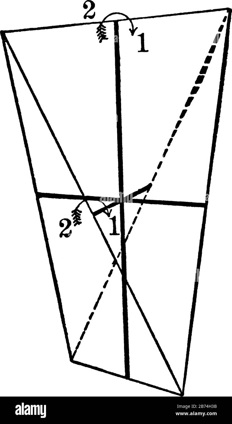This diagram represents Symmetry of Sphenoidal class and there are two ...