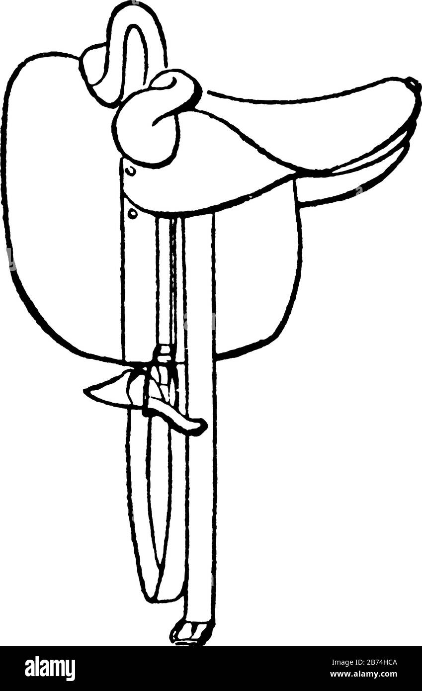 Saddle Sketch