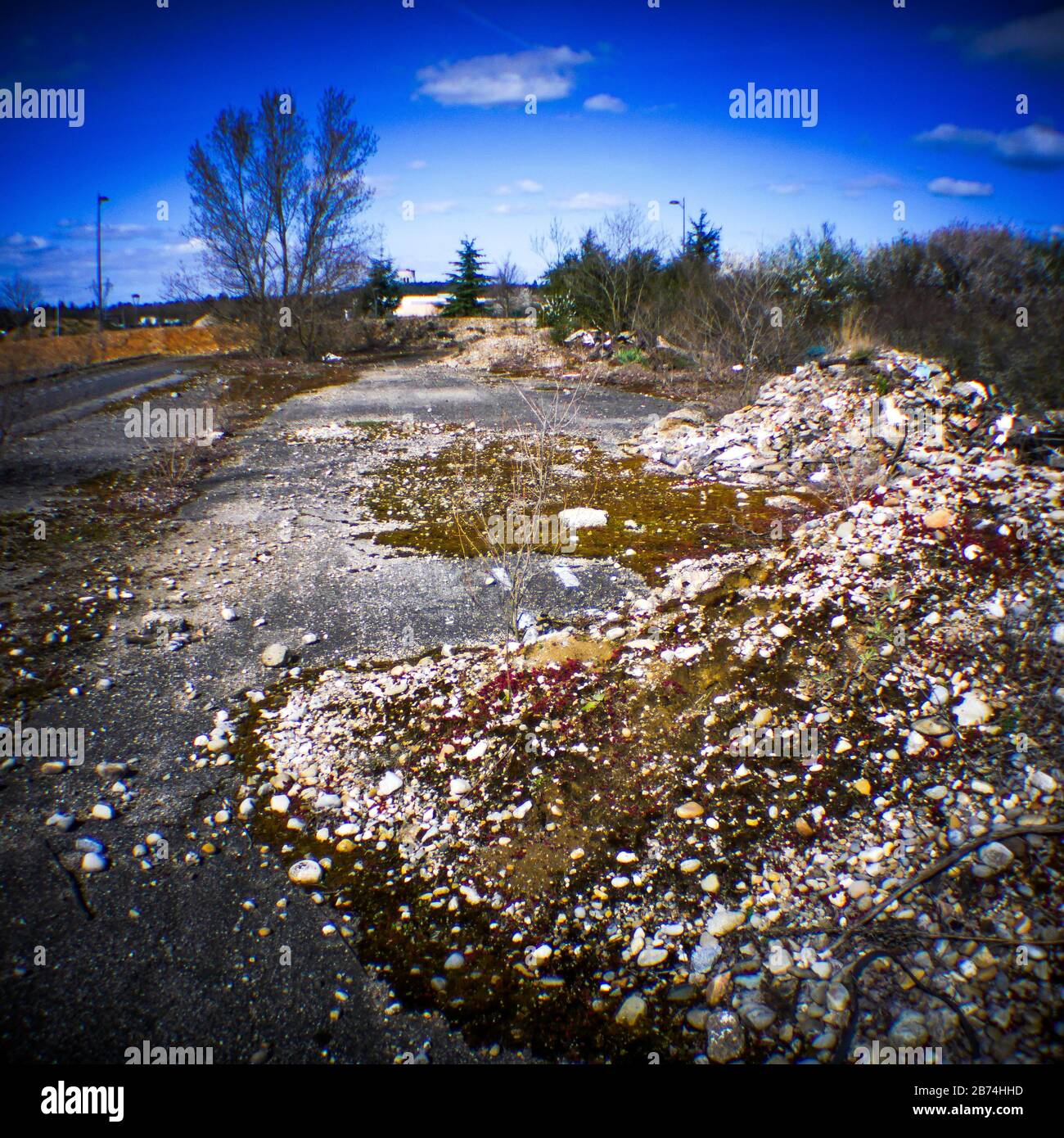 Holga picture hi-res stock photography and images - Alamy