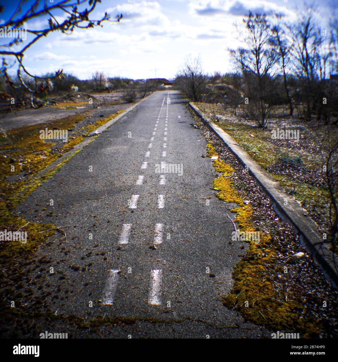 Holga picture hi-res stock photography and images - Alamy