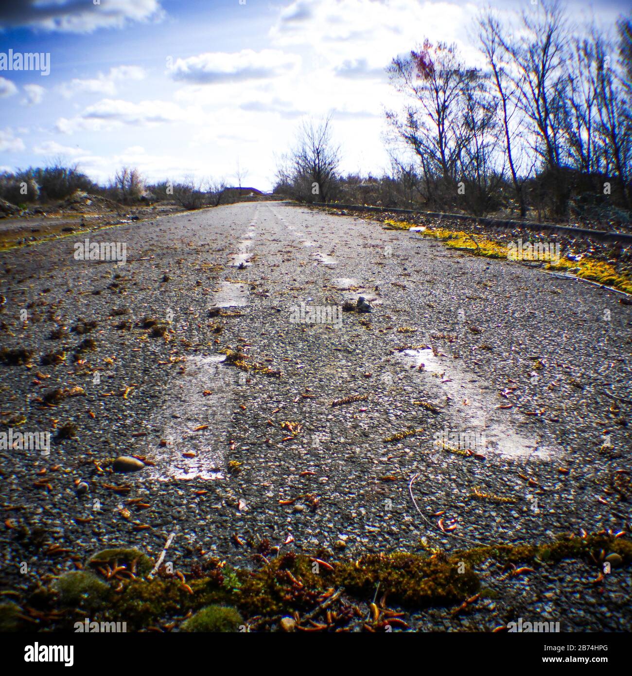 Holga picture hi-res stock photography and images - Alamy