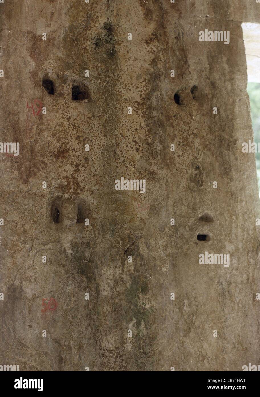 Templo Del Sol Sun Temple High Resolution Stock Photography and Images ...