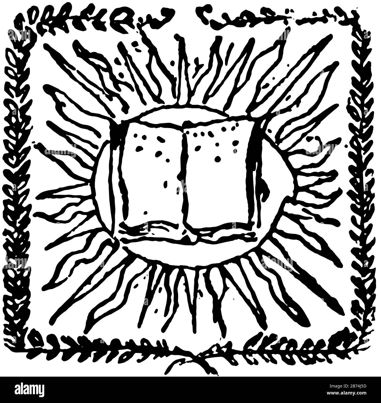 This design shows the book situated in the centre of burning sun ...