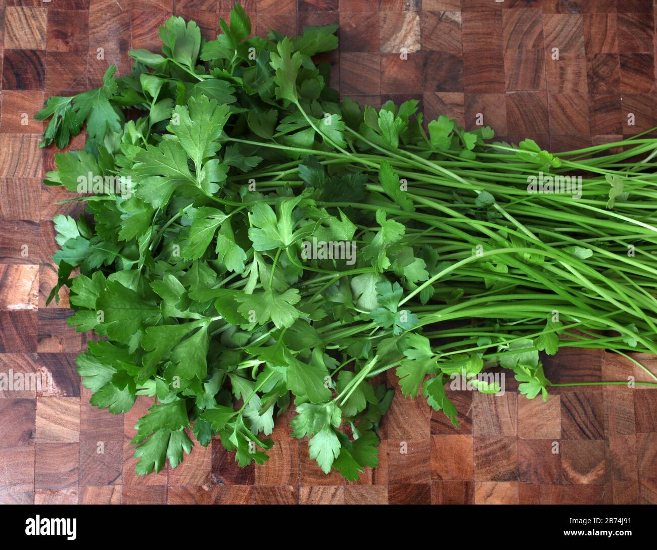A bunch of freshly picked flat leafed parsley Stock Photo - Alamy