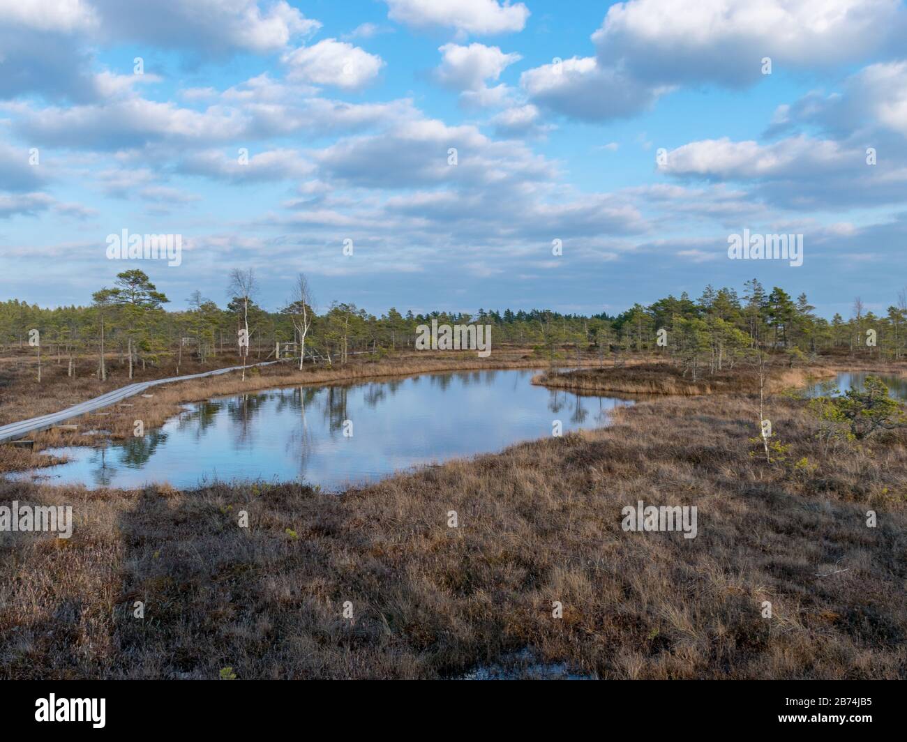 Swamp land hi-res stock photography and images - Alamy