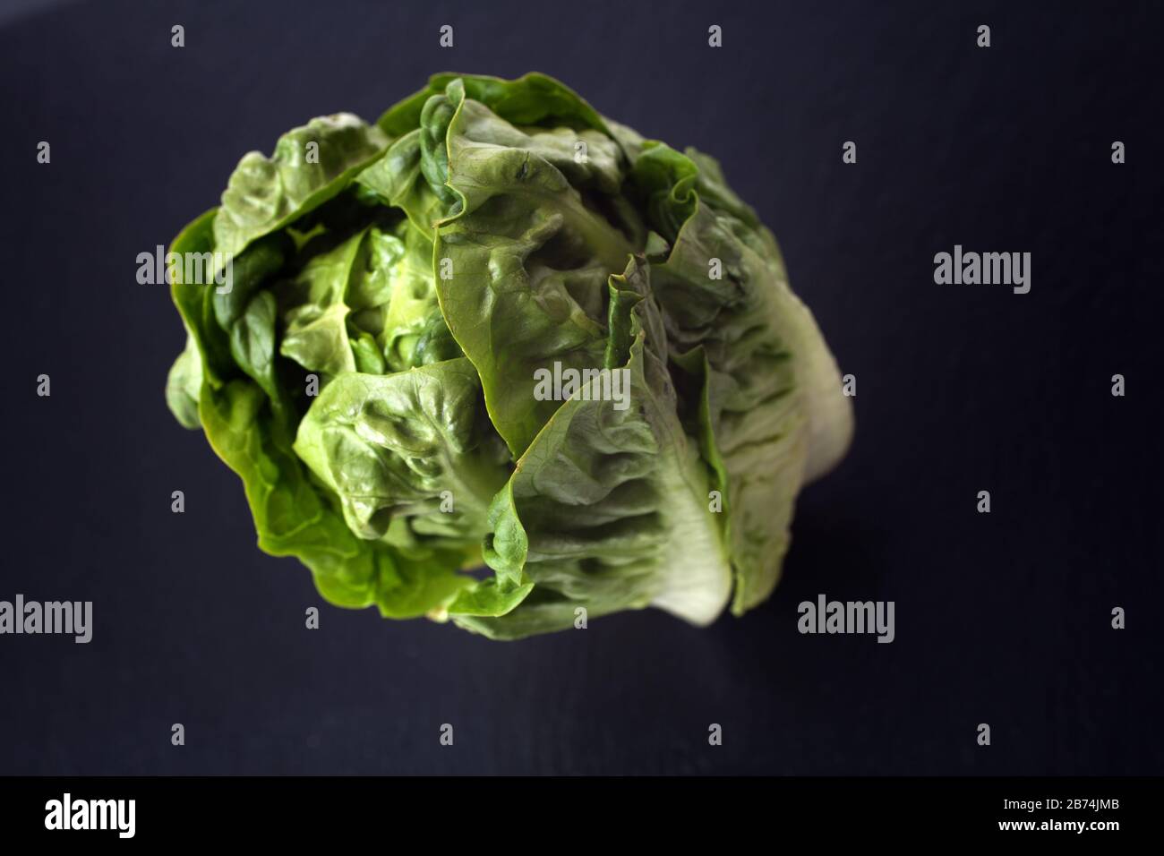 Lush green lettuce leaves hi-res stock photography and images - Alamy