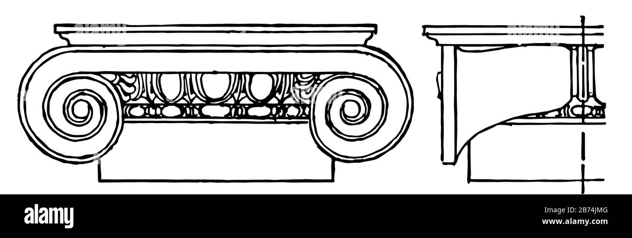 Ionic Capital, front and side views, In architecture the capital, the ...