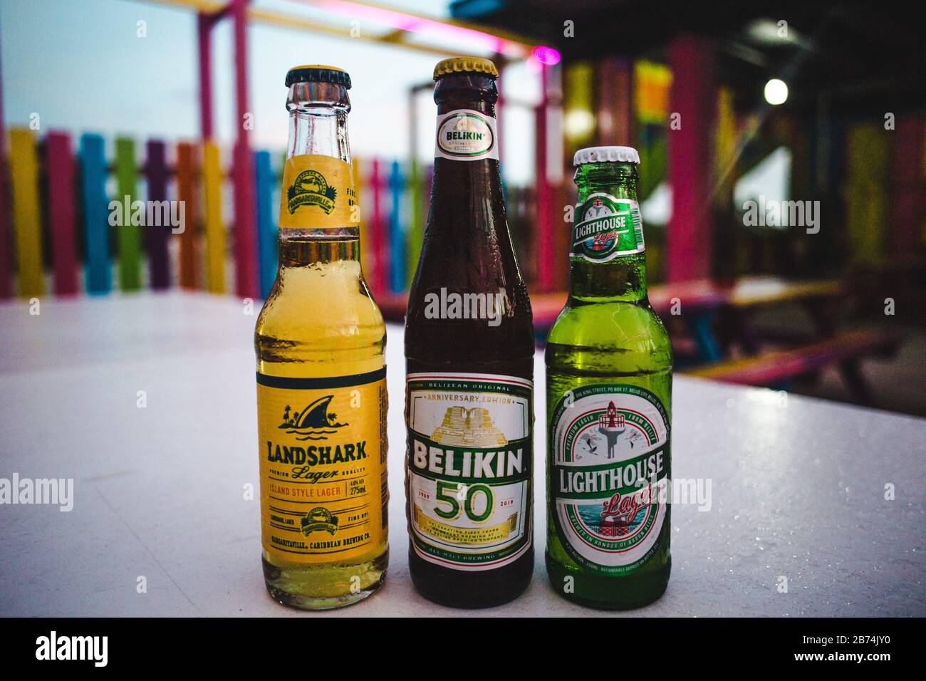 Line-up of bottles of national beers of Belize: Landshark, Belikin and ...
