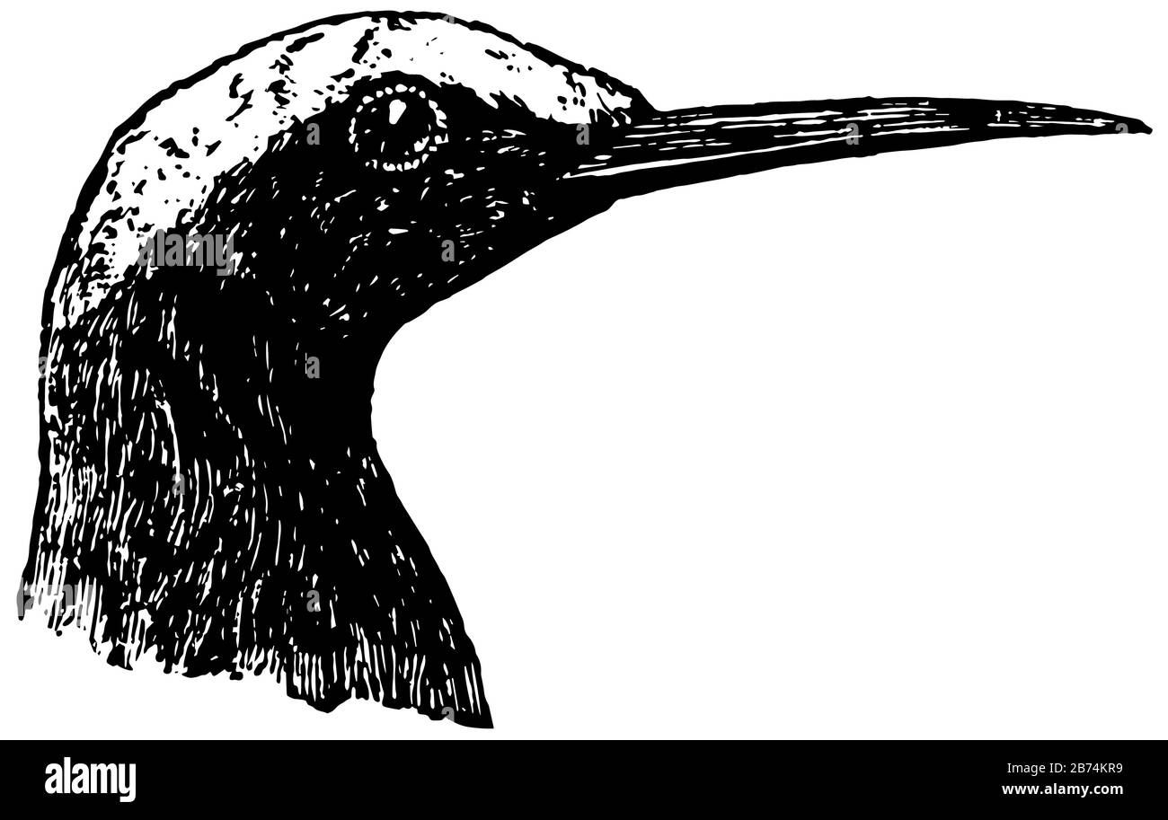 Noddy Stock Vector Images - Alamy