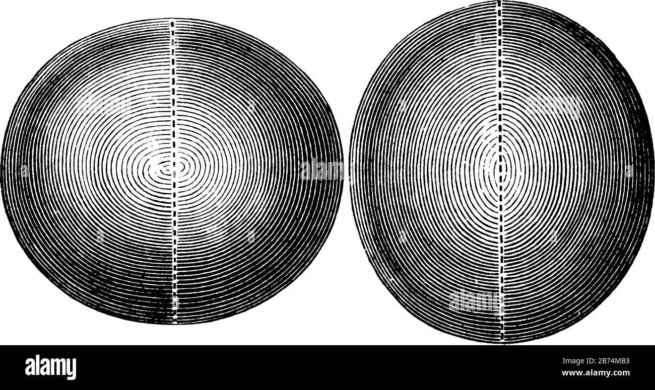 Prolate spheroid Stock Vector Images - Alamy