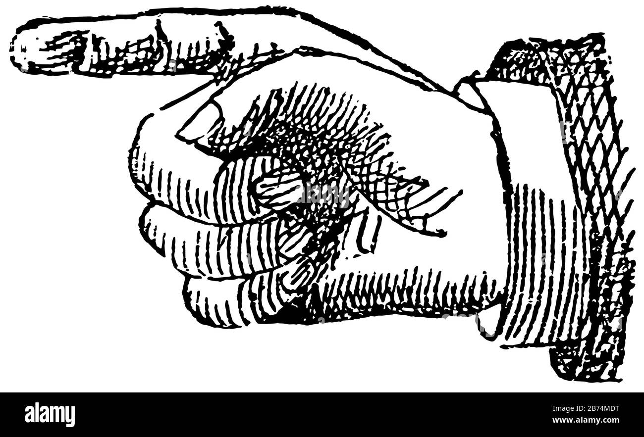 Hand are consisting of the palm and fingers, vintage line drawing or ...