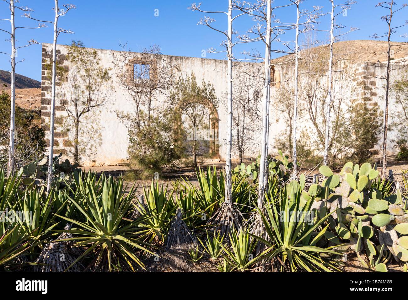 Nunnery convent nunneries monasteries convents hi-res stock photography ...