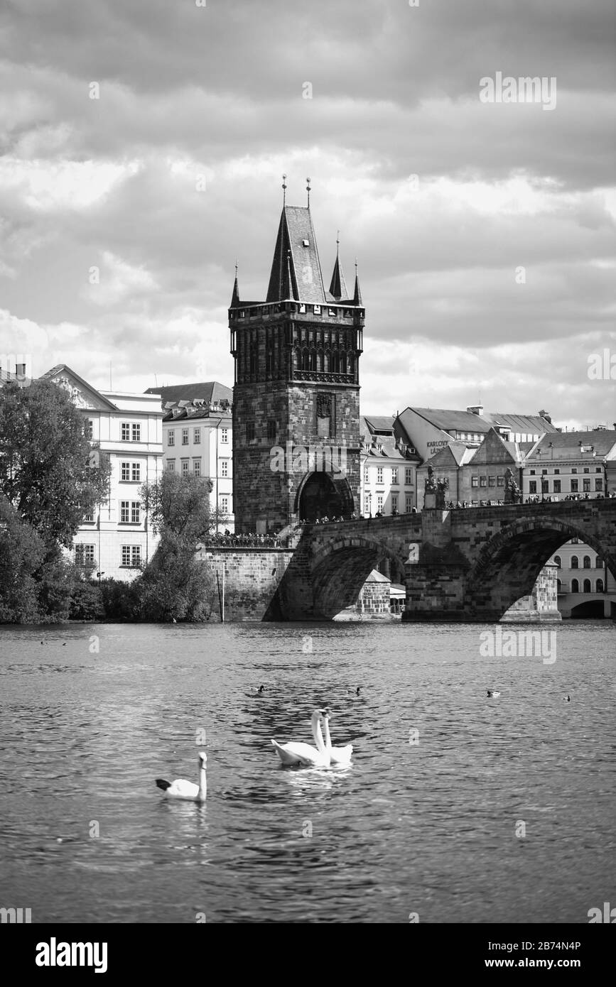 close up view of the Vltava river Stock Photo - Alamy